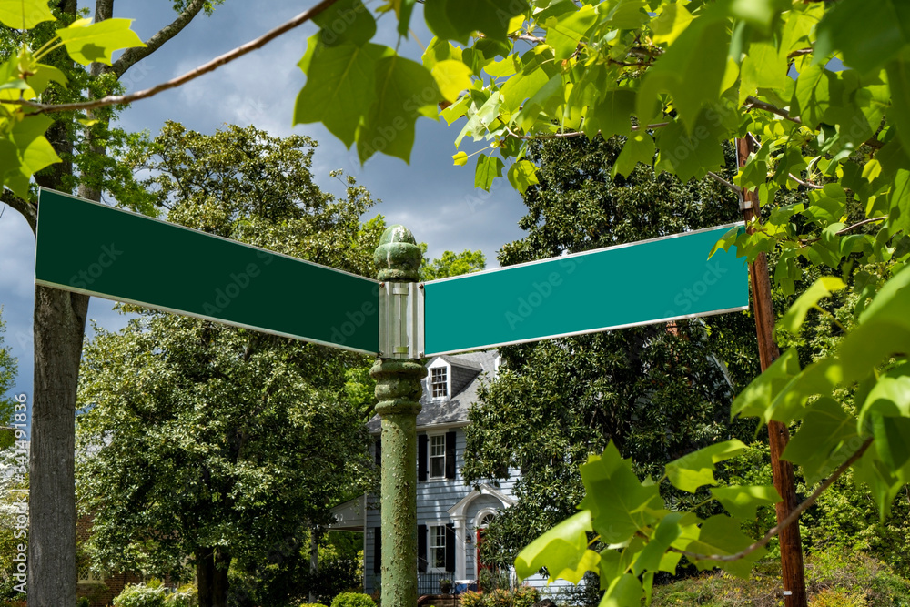 Blank street corner sign in residential neighborhood among sycamore ...