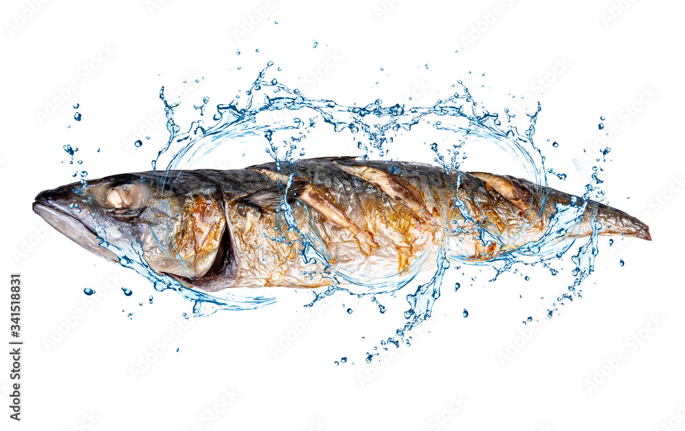 Grilled fish, Saba fish from grilled sea, ready-to-eat package, sea ...