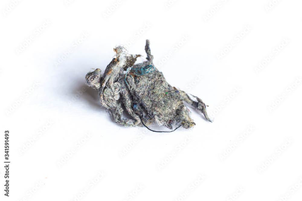 Dust, Fluff, Remnant of clothes on laundry after removing from clothing ...