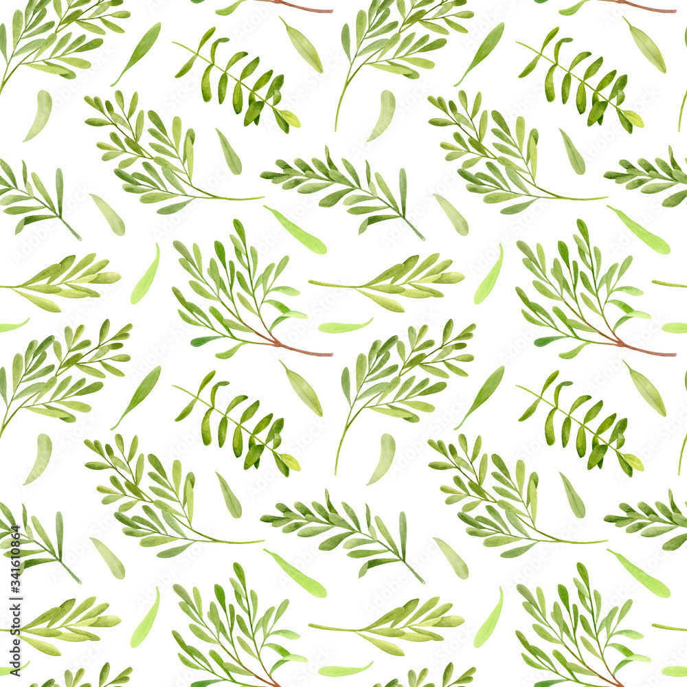 Watercolor tea tree leaves seamless pattern. Hand drawn illustration of ...