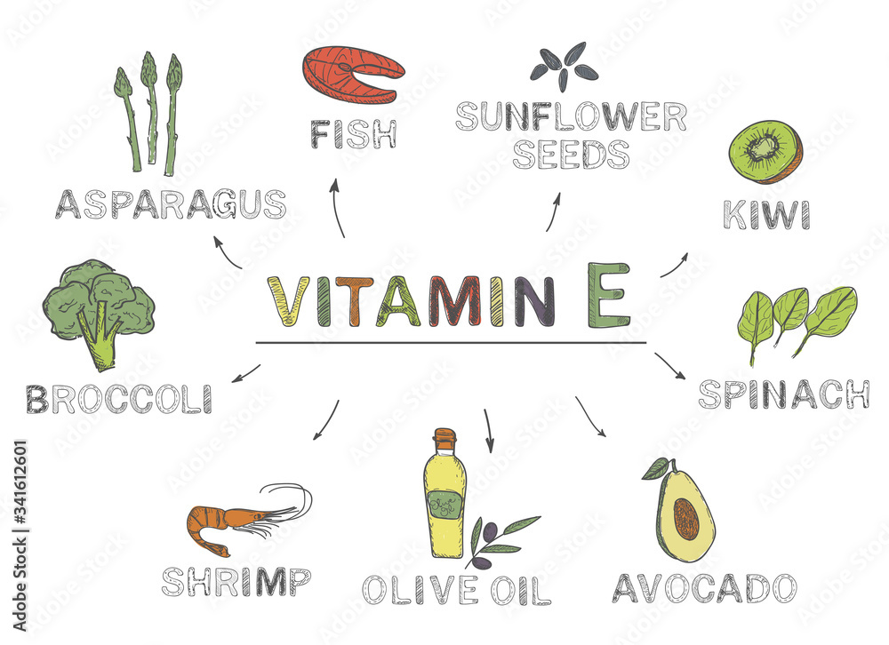 Vitamin E, infographics. Foods rich in vitamin E. natural products ...