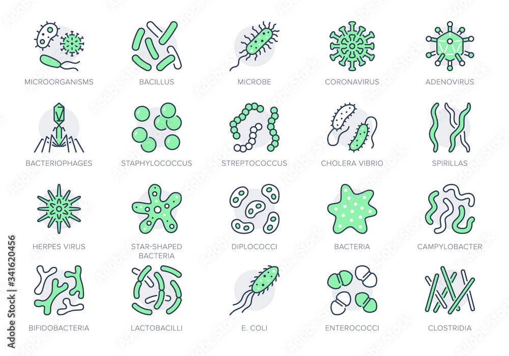 Bacteria, virus, microbe line icons. Vector illustration included icon ...