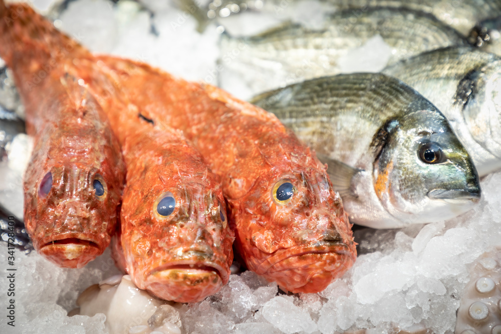 octopus, red gurnard fish and sea bream on fish market Stock Photo ...