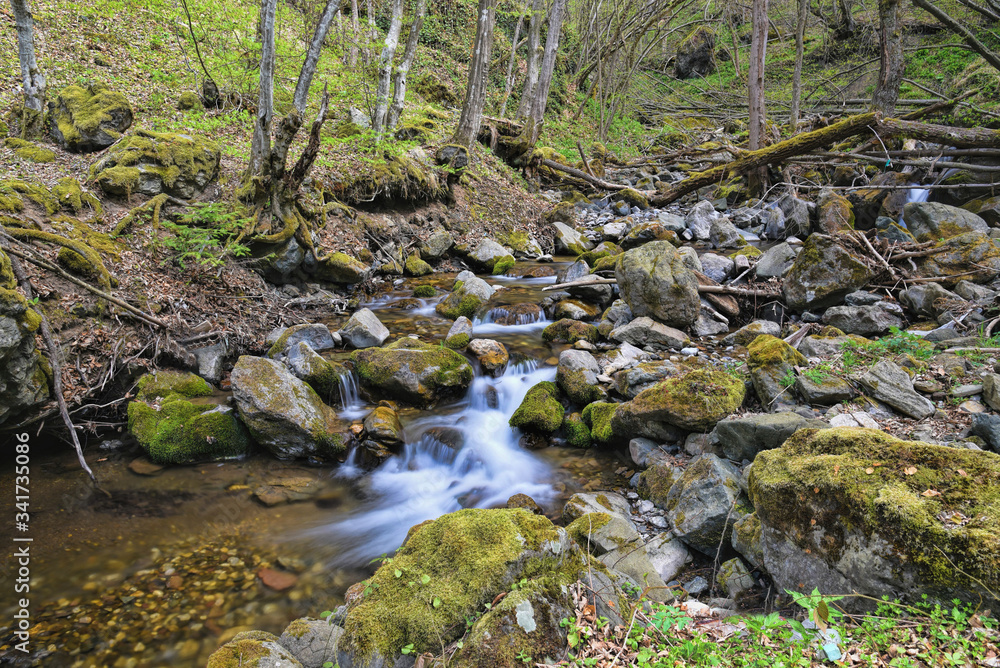 HDR landscape photography of river in wild Stock Photo | Adobe Stock