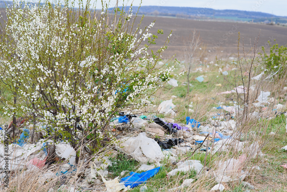 Ecological pollution of nature. Plastic bag tangled in plants against ...