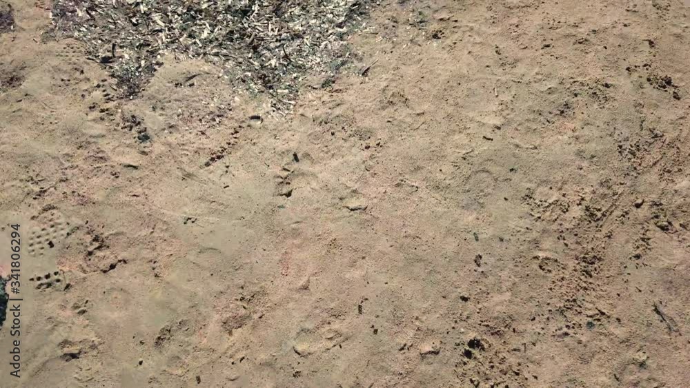 Sandy shallow water, beach. Weak ripples on the surface of the water as ...