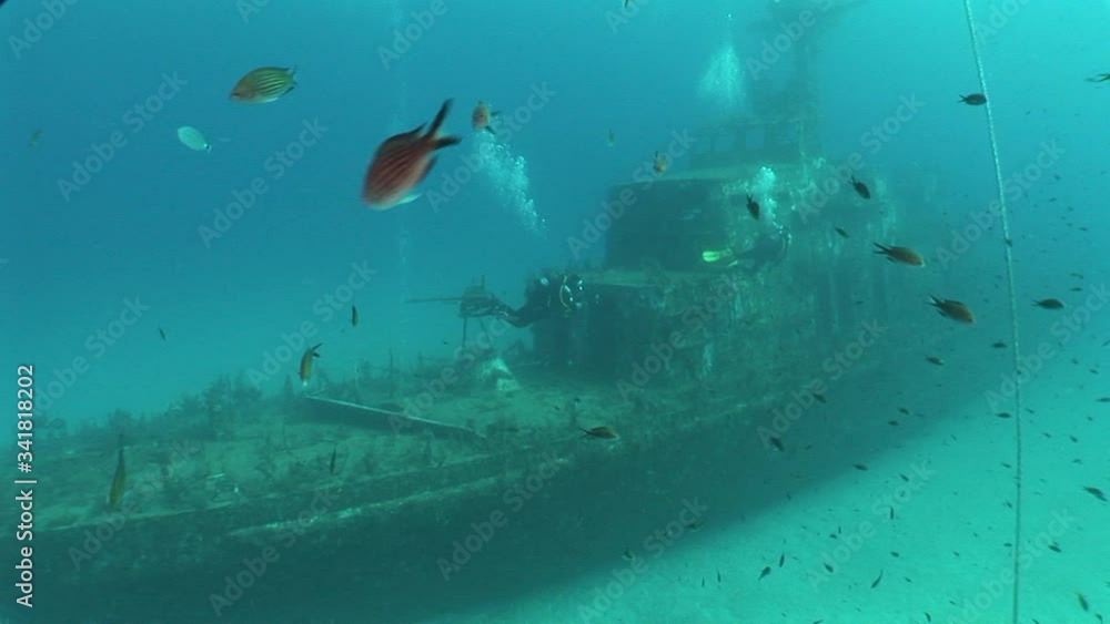 Vidéo Stock wreck dive underwater shipwreck scuba divers to explore ...