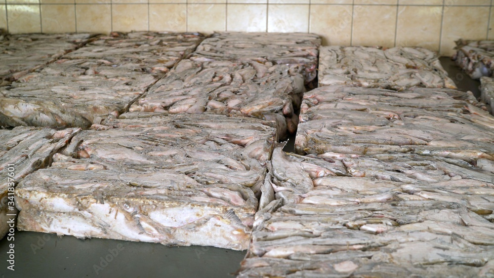 Fish factory sorting packaging frozen fish containers. Frozen fish in ...