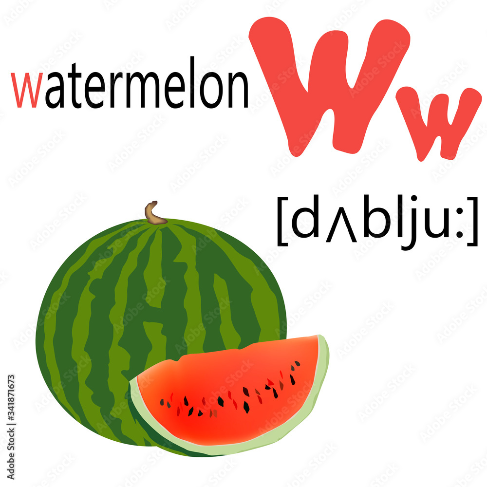 English alphabet letter with picture of watermelon Stock Illustration ...