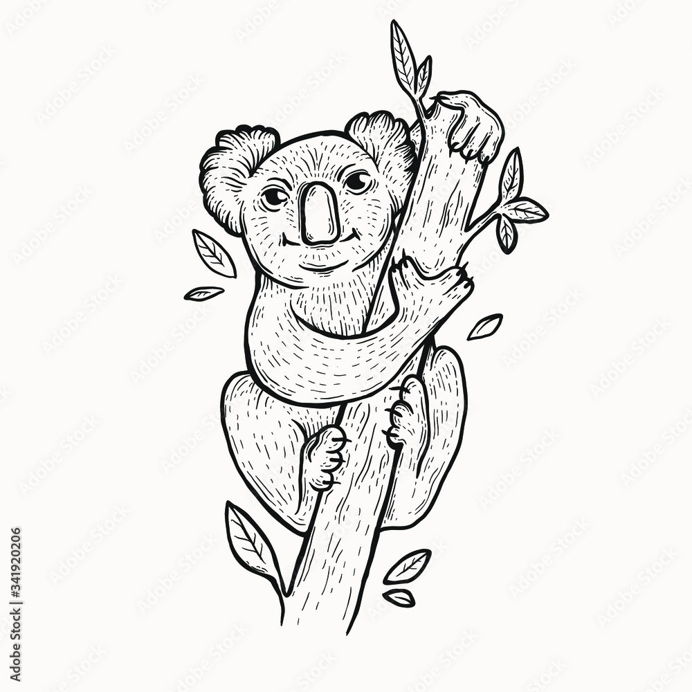 Cute koala outline hand drawn illustration. Wild australia black and ...