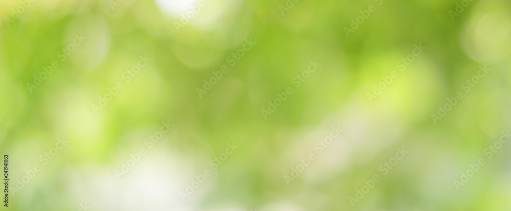 Spring bokeh nature abstract background Green leaves blurred, beautiful ...