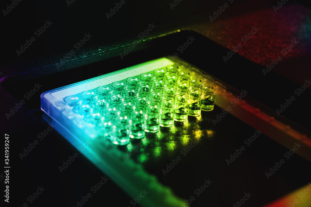 Laboratory plastic test tubes for an experiment in a science research ...