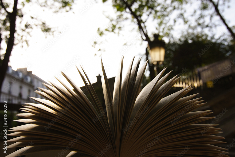 .Open book forming a visual curve in a Parisian street. Photos | Adobe ...