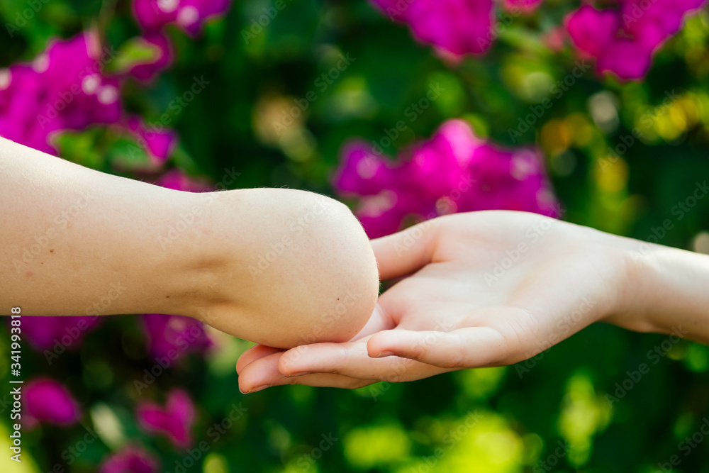 two hands touching each other on flover background Stock Photo | Adobe ...