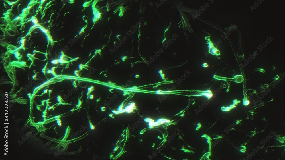 Covid 19 Coronavirus Outbreak Microscope View Background/ 4k animation ...