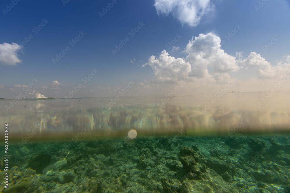 Underwater tropical coral reef splitted by cloudy sky waterline ...