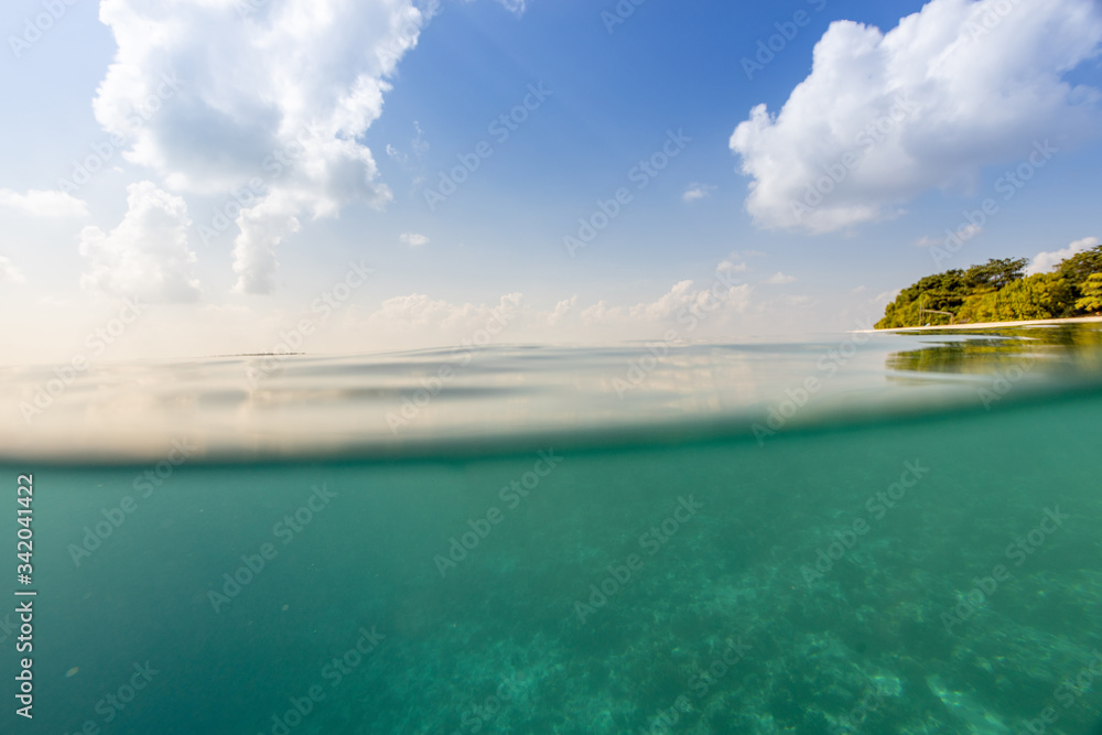 Underwater tropical coral reef splitted by cloudy sky waterline ...