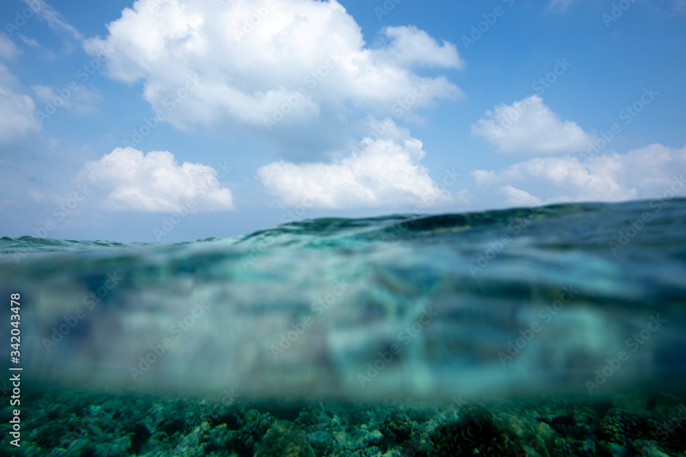 Underwater tropical coral reef splitted by cloudy sky waterline ...