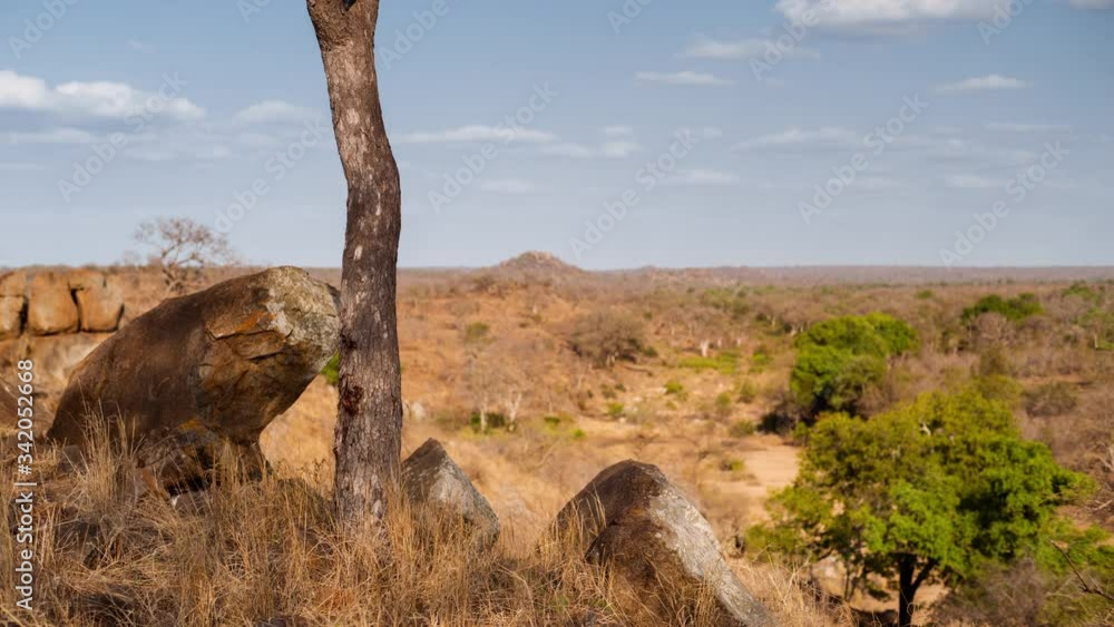 Static late afternoon timelapse of bushveld landscape with granitic ...