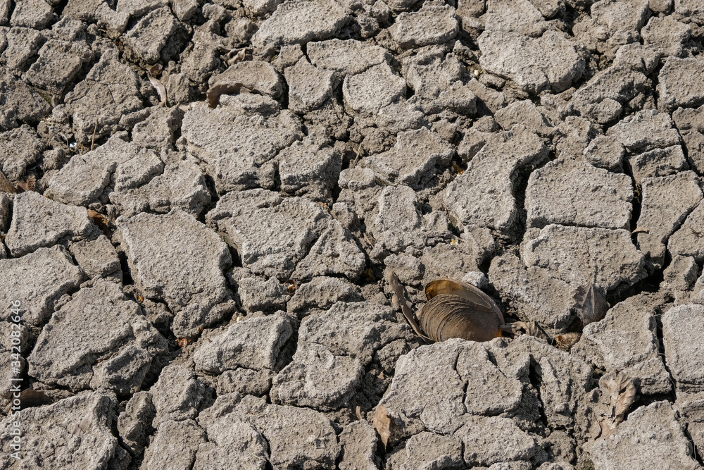 Natural soil texture. Dehydration of soil. Shell in the ground crack ...