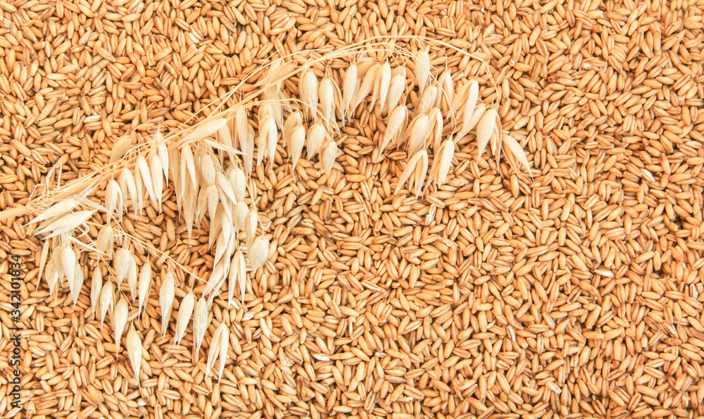 Hafer Korn Körner Hintergrund Background Vollkorn Stock Photo | Adobe Stock