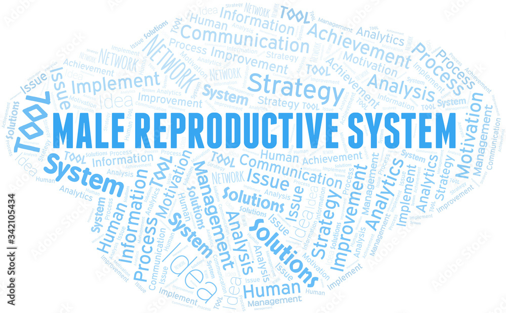 Male Reproductive System typography vector word cloud. Stock Vector ...