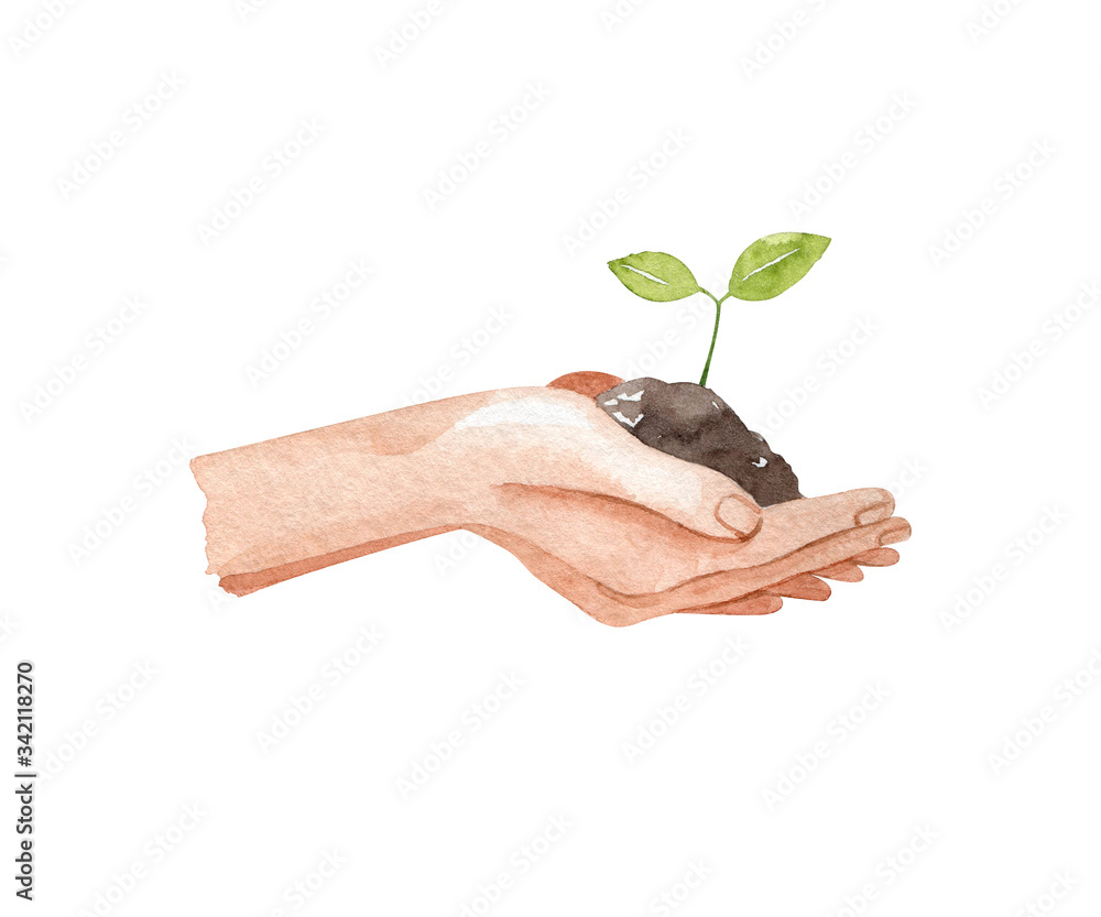 Female hands holding a green sprout. Garden watercolor illustration ...