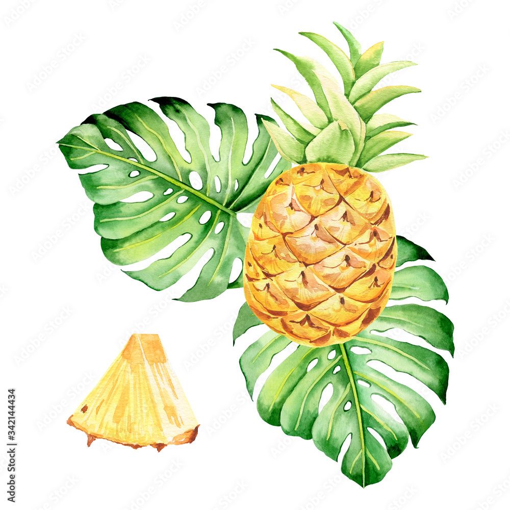 Watercolor pineapple arrangements. Juicy pineapple clipart. Tropical ...