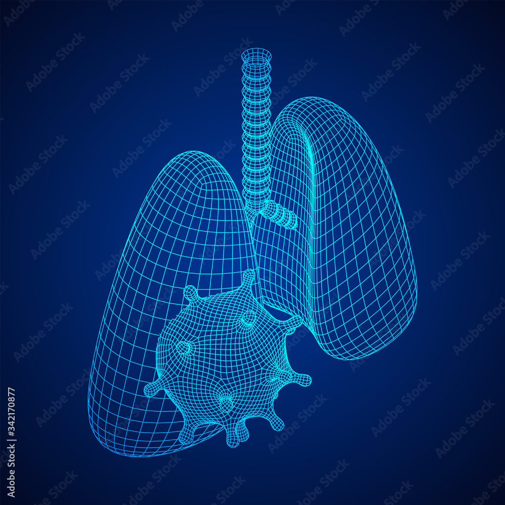 Corona Virus and Lungs with trachea bronchi internal organ human. Covid ...