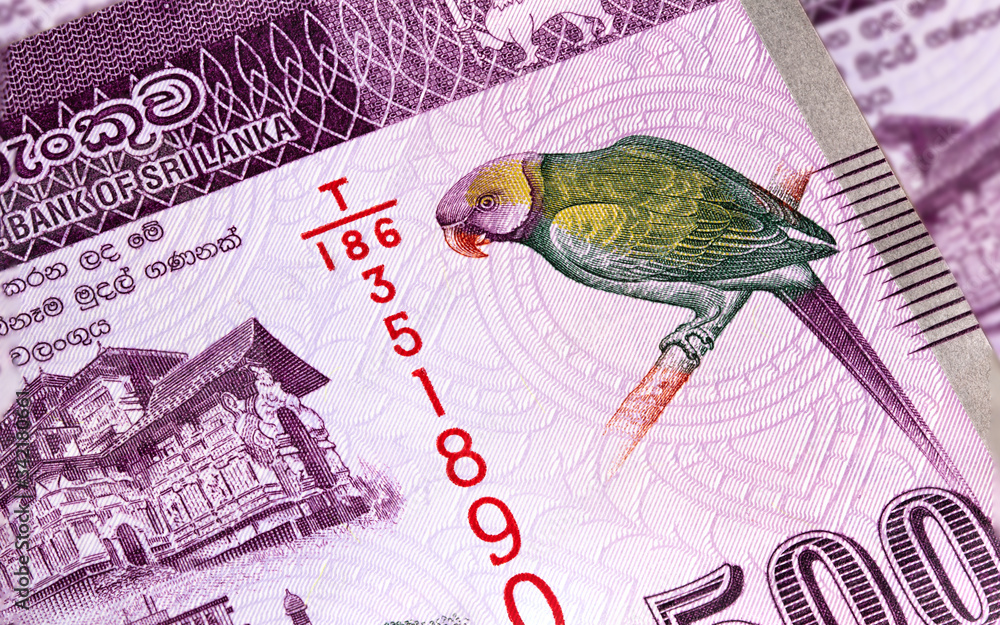 Macro photography of 500 Sri Lanka Rupee or Rupie. Paper currency of ...