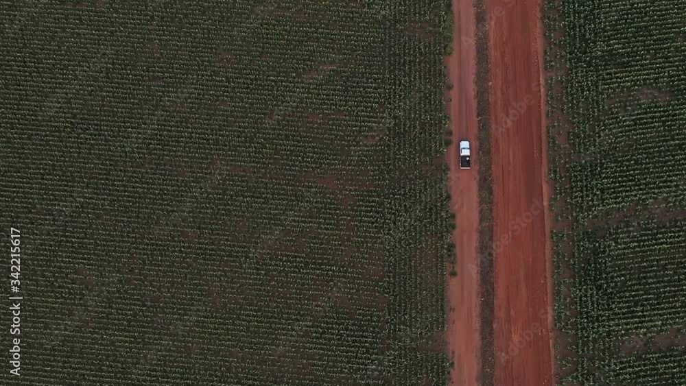Vidéo Stock Birds-eye view drone shot of red dirt road running between ...
