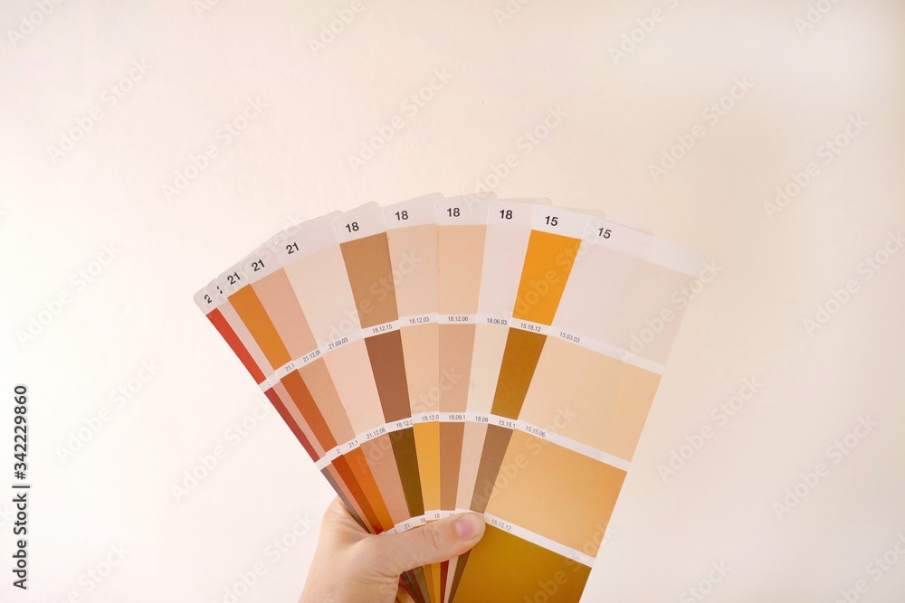 RAL sample colors catalogue on a beige background. palette of building ...