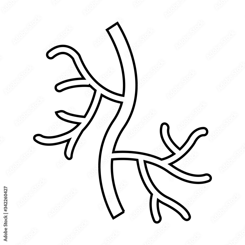 human artery outline icon. isolated line vector illustration from human ...
