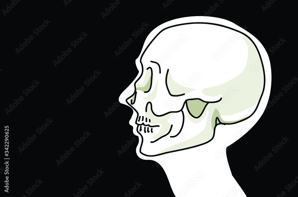 head x-ray skeleton skull side face anatomy person silhouette on black ...