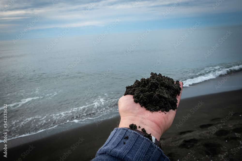 Black sand beach. Therapeutic resort in Georgia. The village of Ureki ...