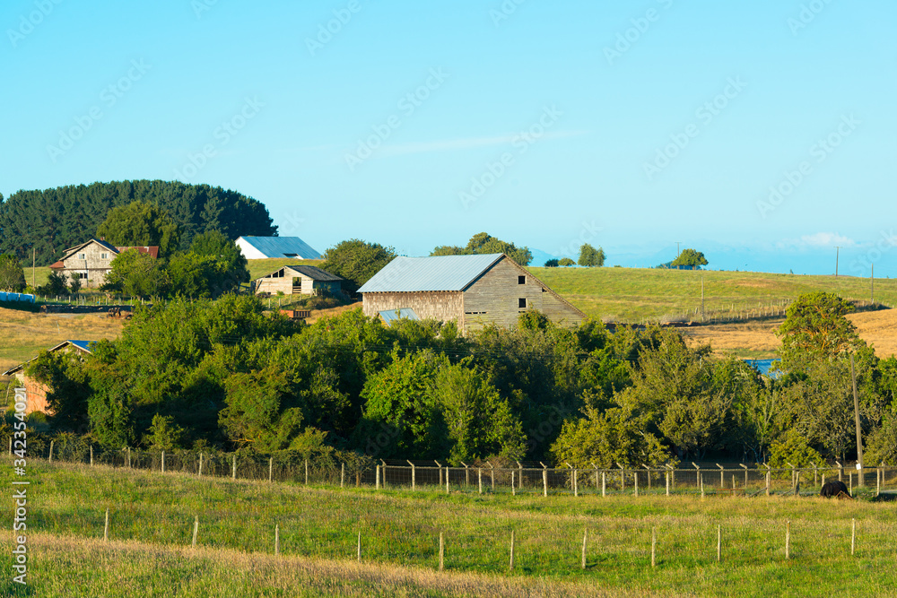 Farms in southern Chile at the shores of Lake Llanquihue, X Region de ...