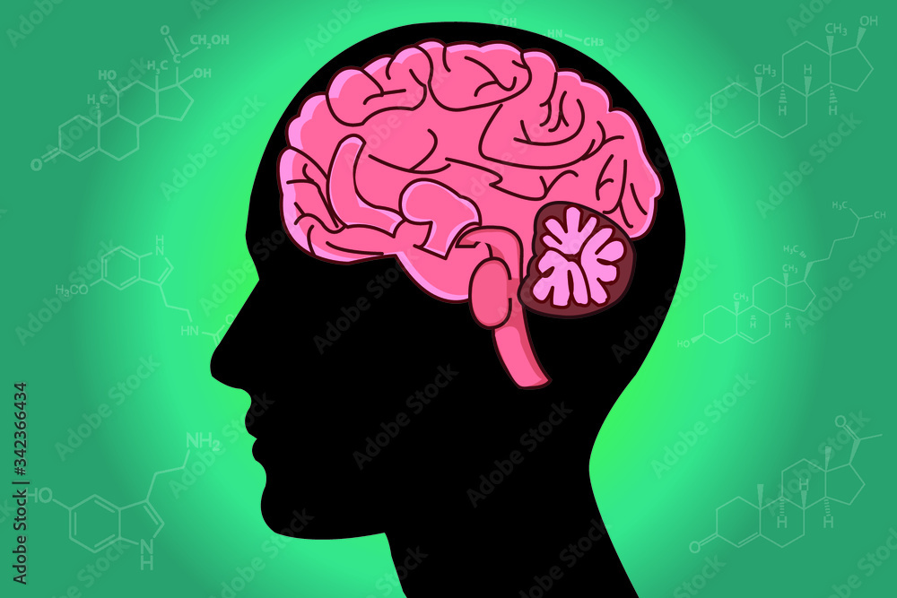 The circadian rhythms are controlled by circadian clocks or biological ...