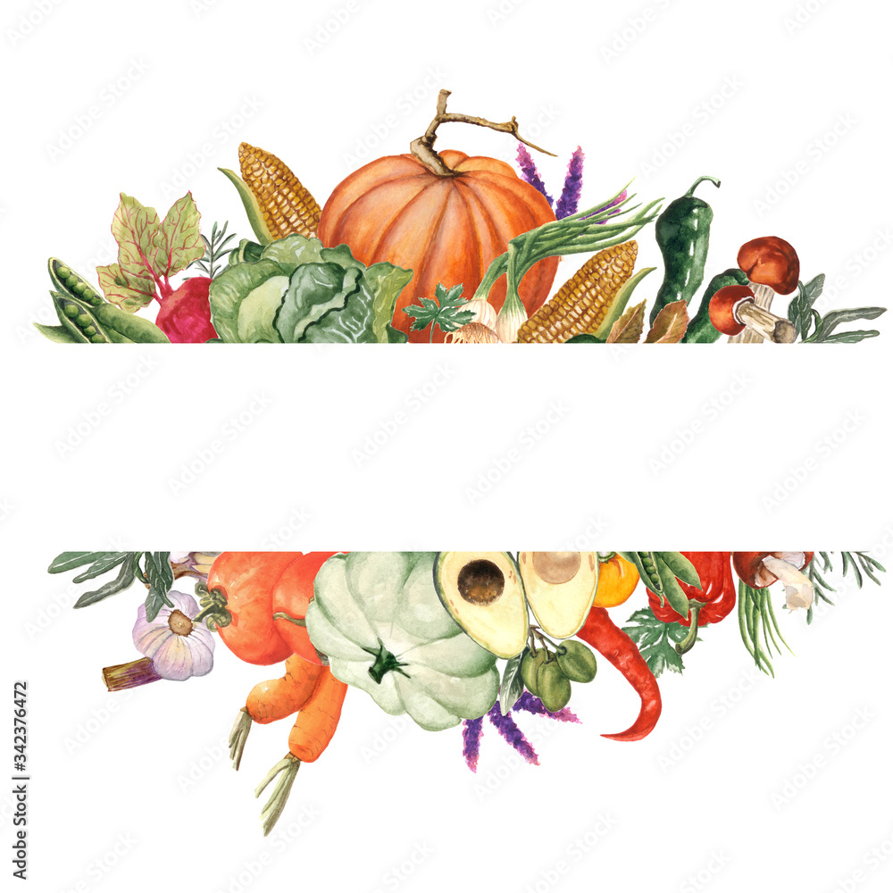 Watercolor vegetable frame. Vegetable border. Hand Drawn Watercolor ...