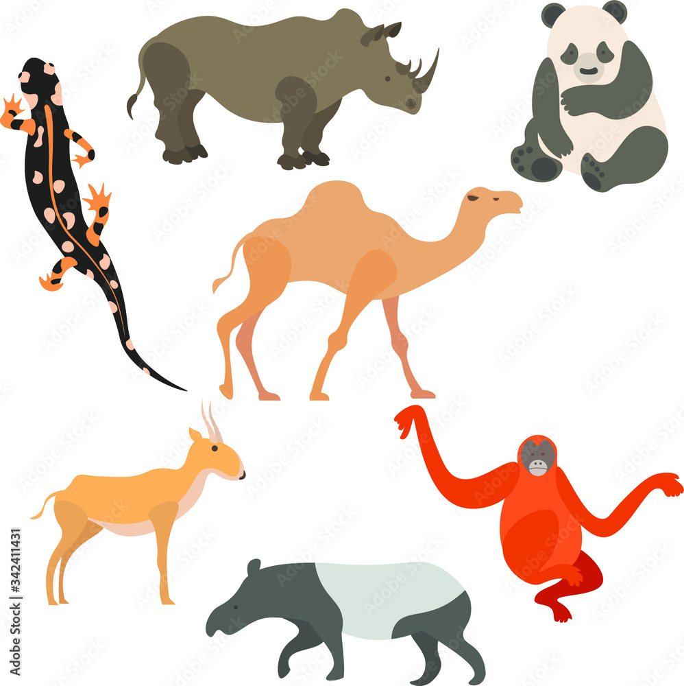 Vector animals set. Various animals of Asia. Rhinoceros, Salamander ...