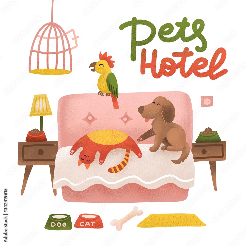 Happy dog , cat and parrot relax on a hotel bed. Animals Pets care ...