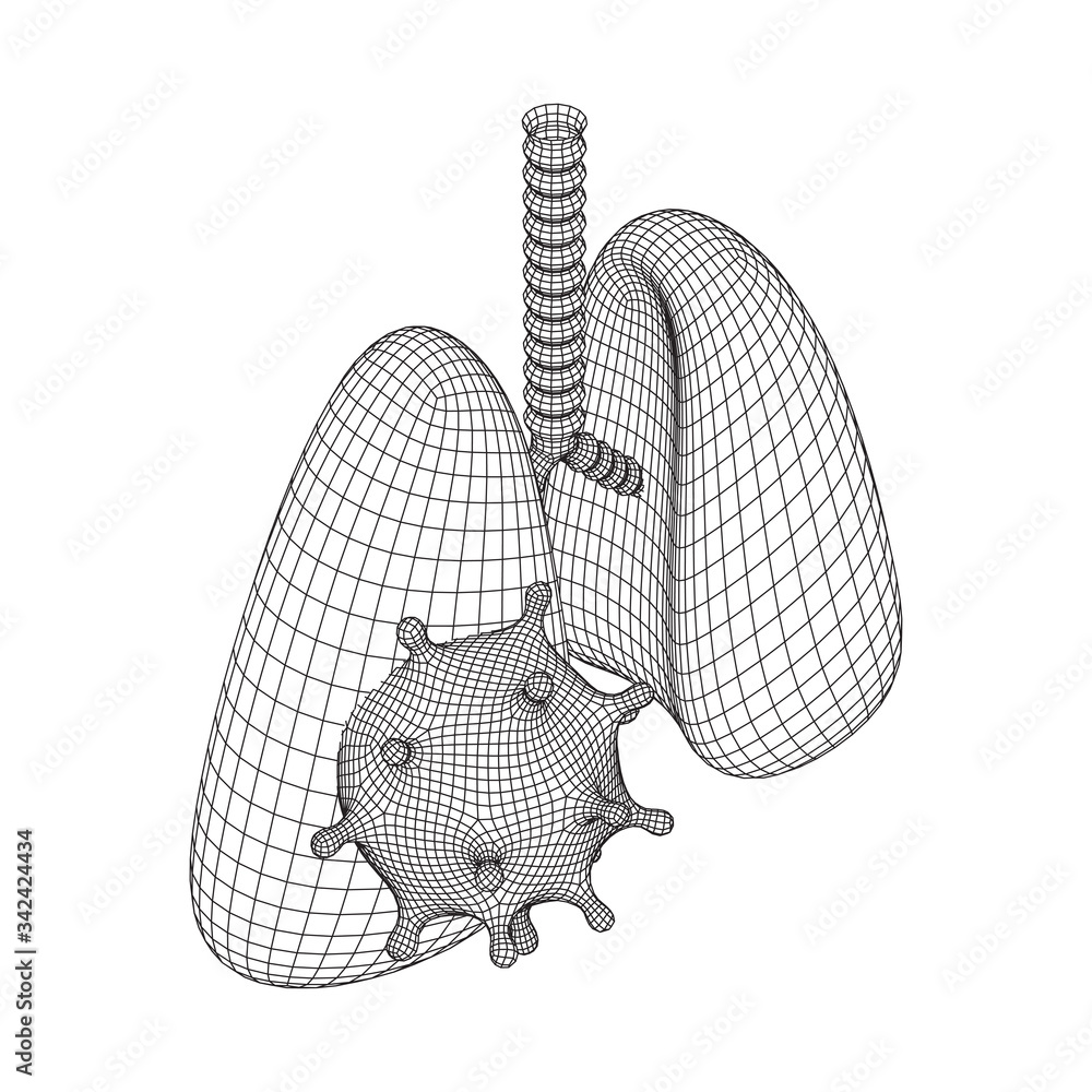 Corona Virus and Lungs with trachea bronchi internal organ human. Covid ...