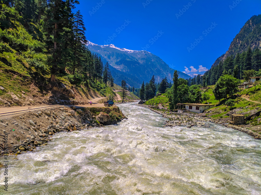 Usho Forest, Kalam, Swat, KPK Province Pakistan Stock Photo | Adobe Stock