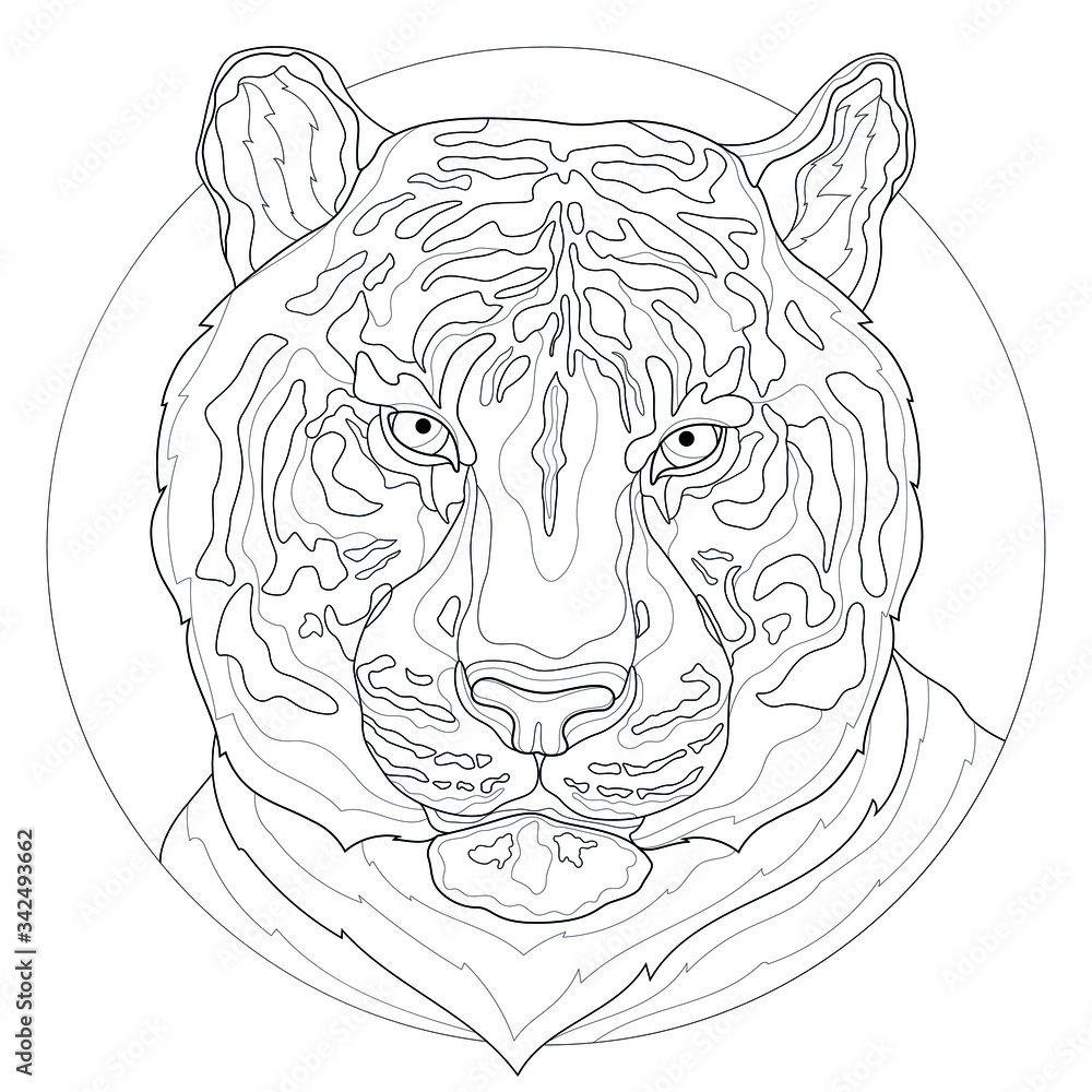Tiger.Coloring book antistress for children and adults. Illustration ...