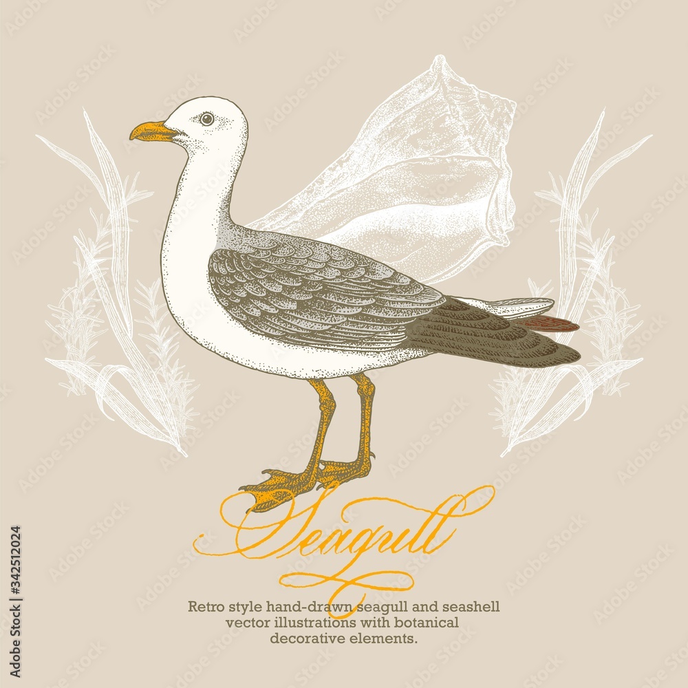 Retro style hand-drawn seagull and seashell vector illustration with ...
