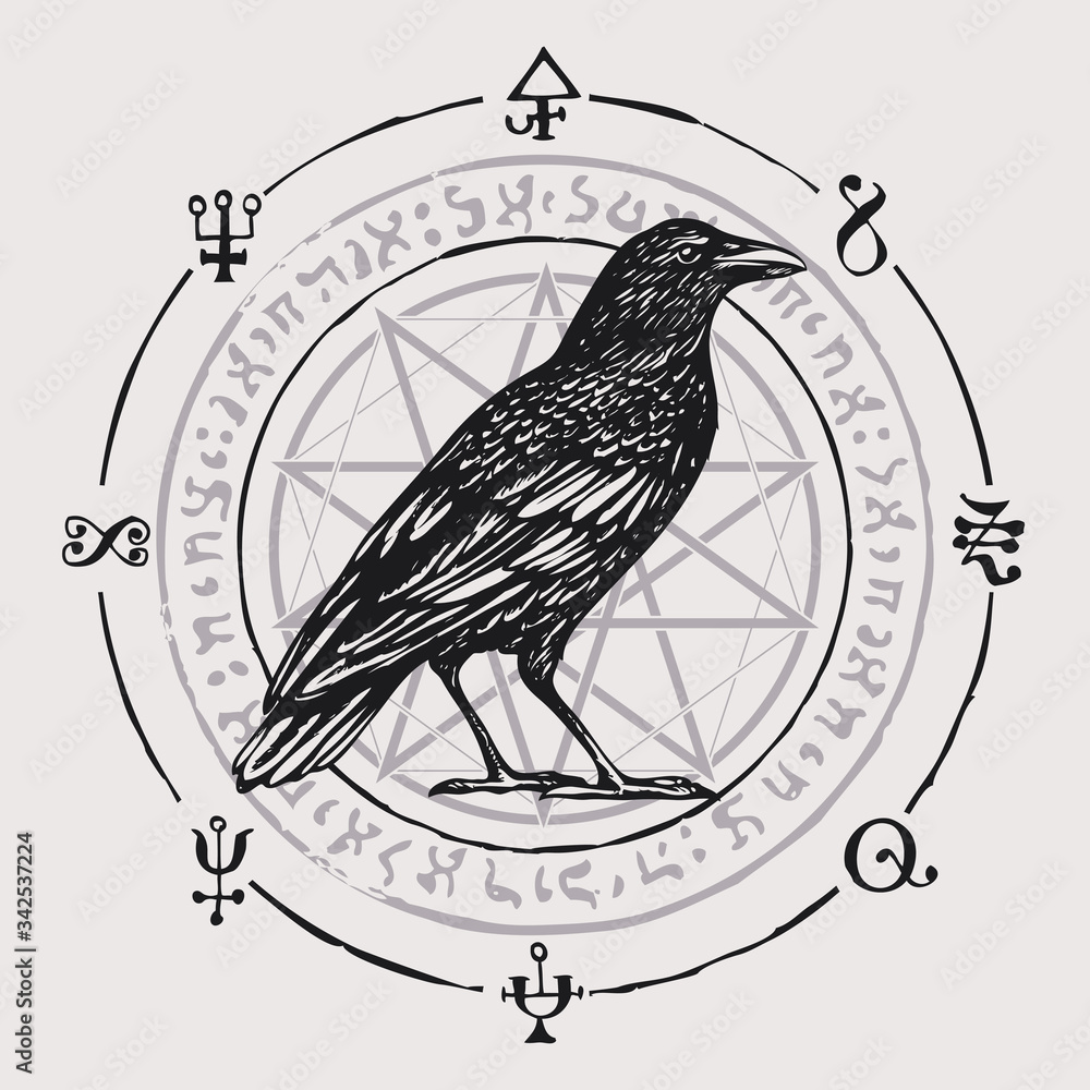 Vector illustration with a sorcery Crow or wise black Raven on the ...