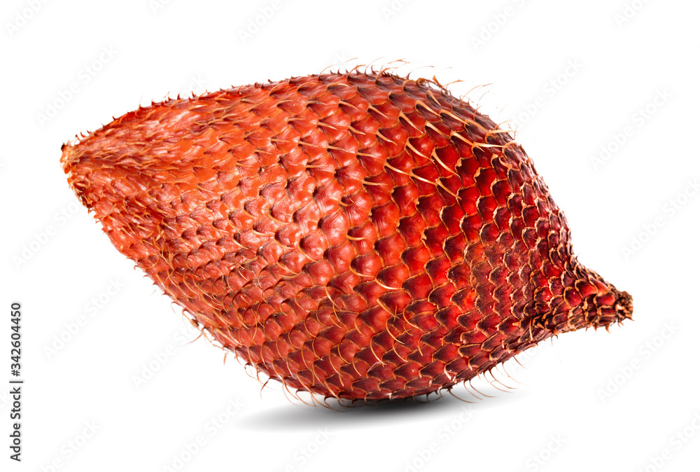 Salak isolated on white background. Salak (Salacca zalacca) or Snake ...