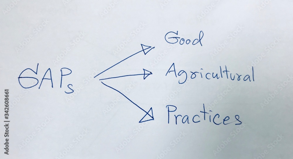 GAPs meaning to good agricultural practices, quality and food safety ...