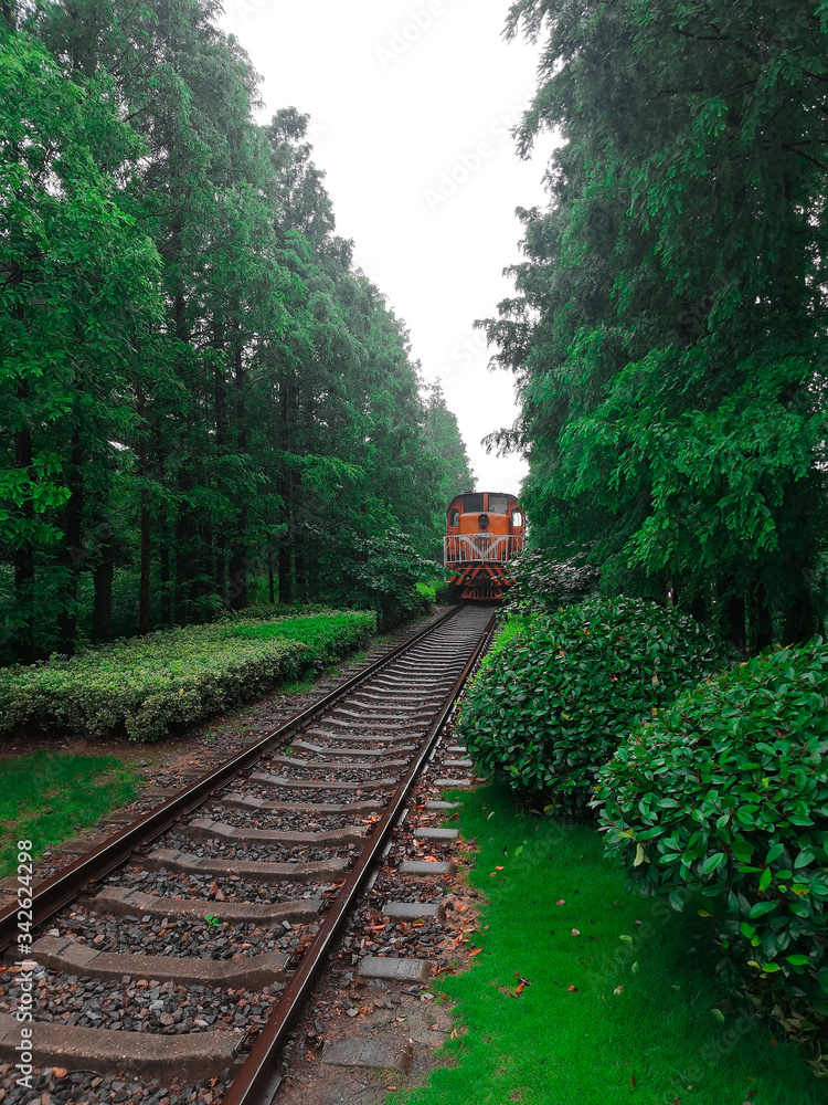 sdrThe old railway track and the train in the forest. The train is ...