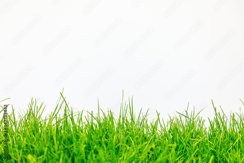 Rasen Stock Photo | Adobe Stock