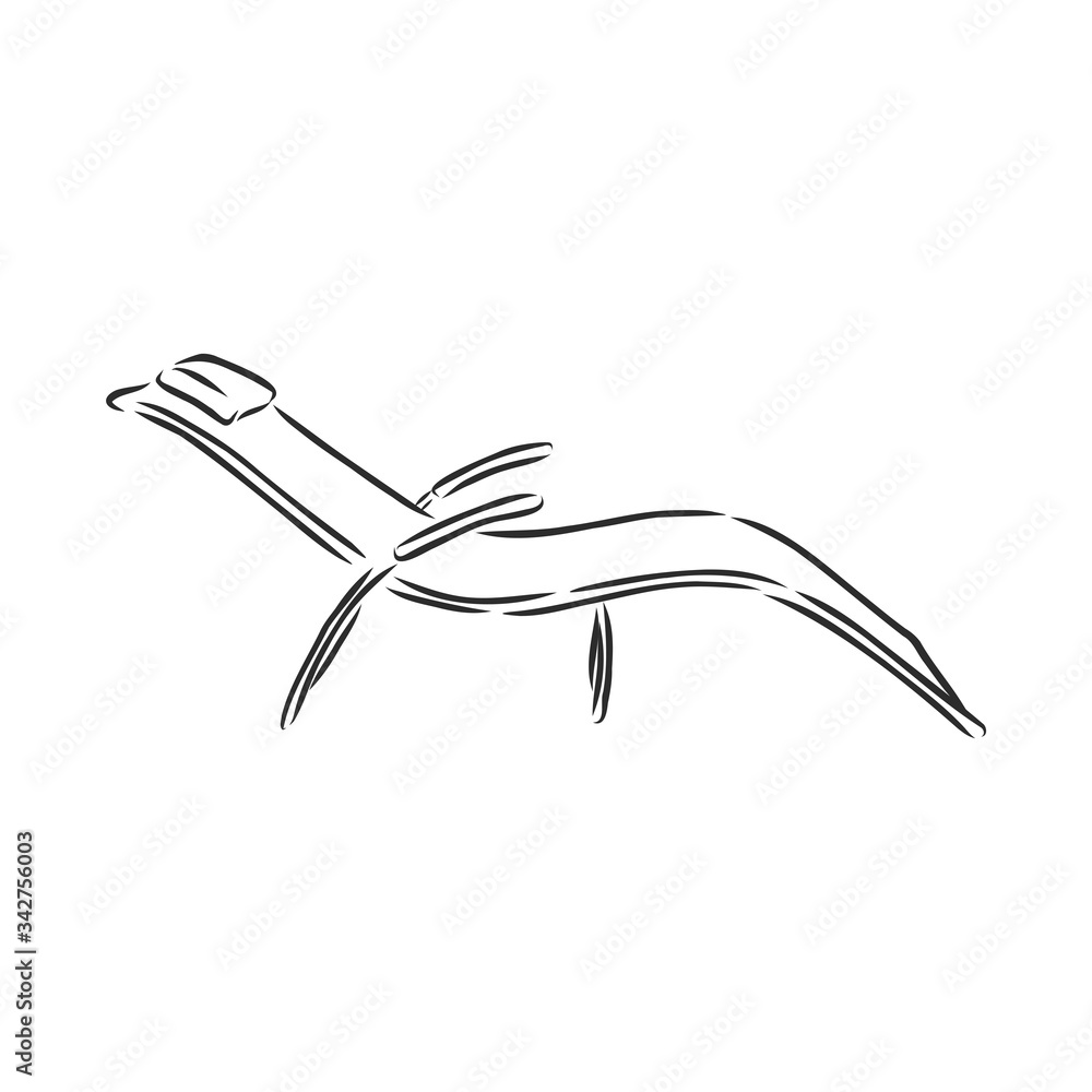Hand drawn vector illustration in black ink on white background. A ...